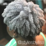 NATURAL HAIR STYLES – Styles By Lisa