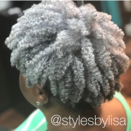 NATURAL HAIR STYLES – Styles By Lisa